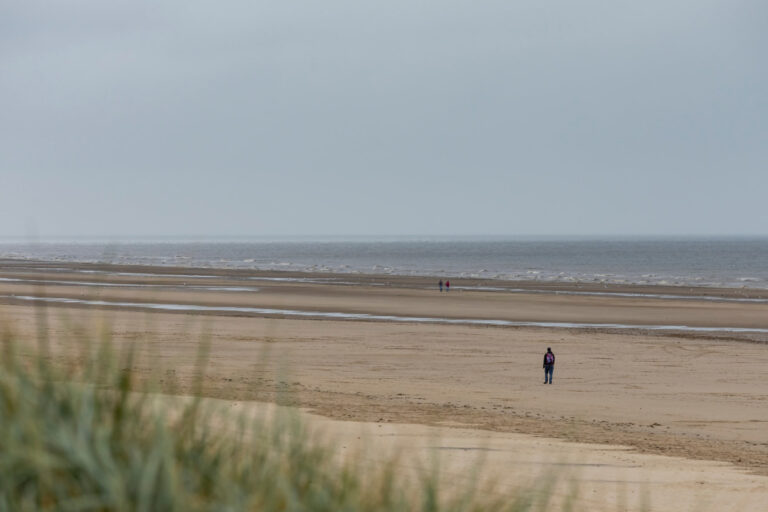 Prysmian selected as preferred cable bidder for EGL4